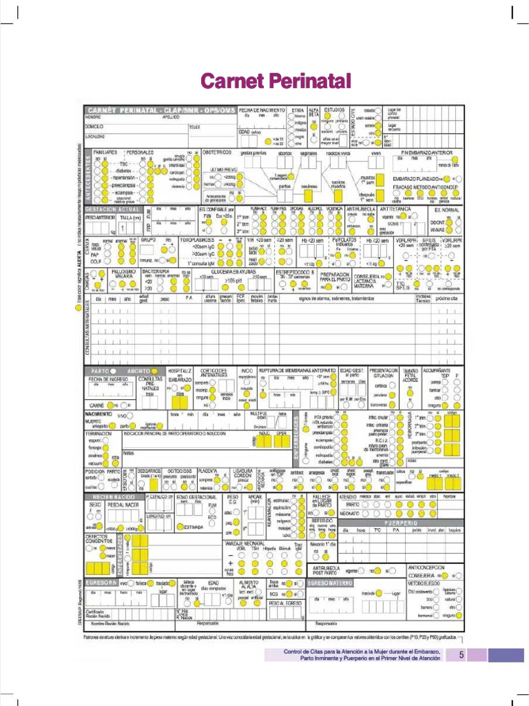 PDF Carnet Perinatal PDF Compress | PDF