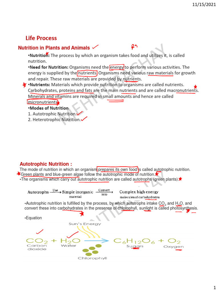 Day 38 Lecture 1 Biology Part 1 | PDF | Cellular Respiration ...