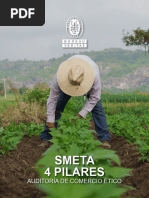 Brochure SMETA 4 Pilares | PDF | Auditoría | Business