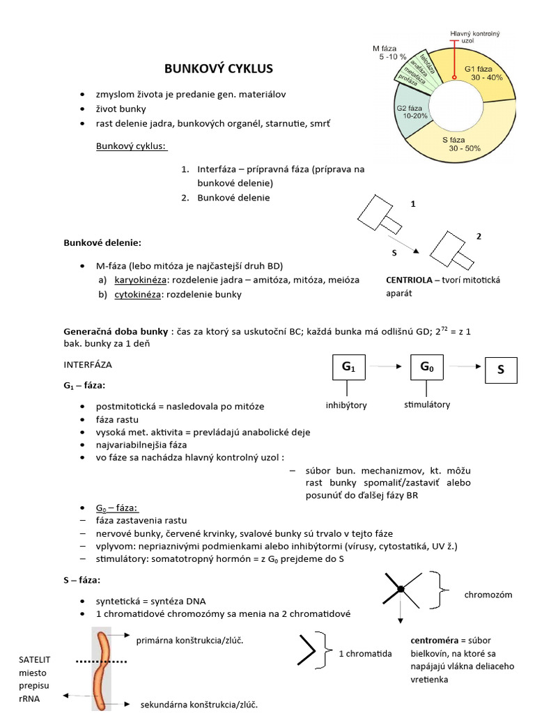 BUNKOVÝ CYKLUS | PDF