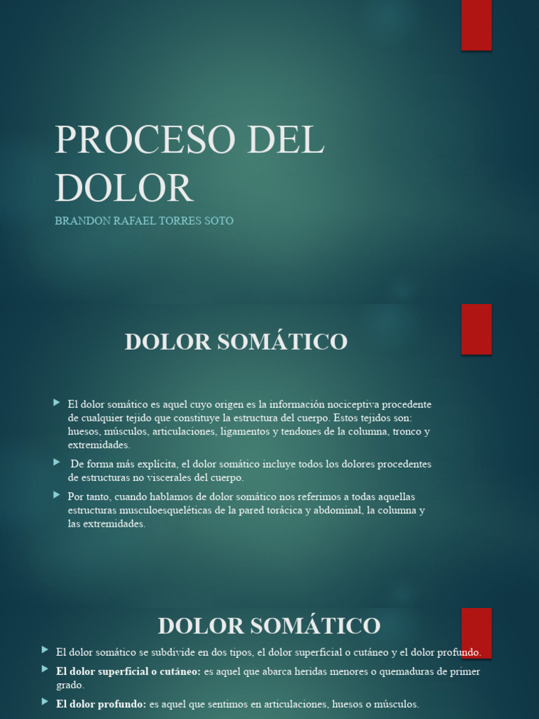 Tipos y Características del Dolor Somático | PDF | Dolor | Sistema nervioso