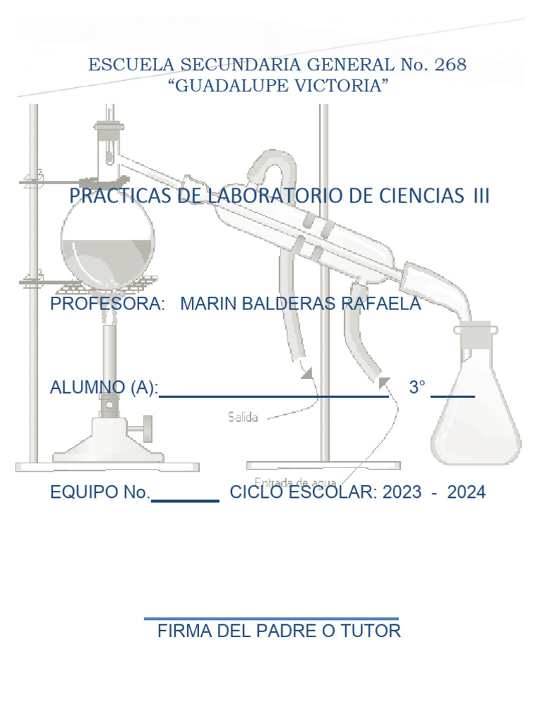Prácticas de Química en Secundaria | PDF | Mezcla | Balanza