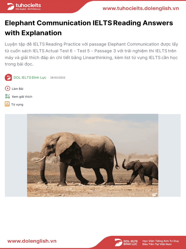 Elephant Communication | PDF | Elephant | Zoology