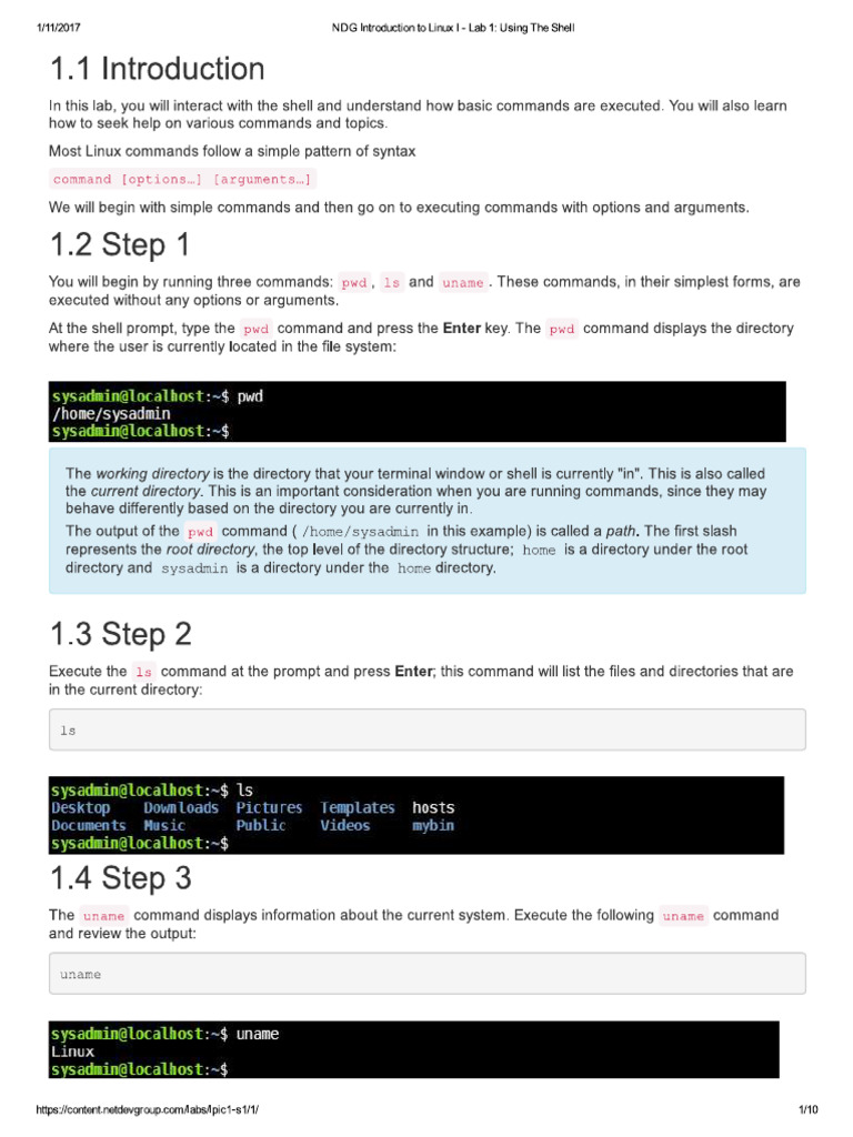NDG Introduction To Linux I - Lab 1 Using The Shell | PDF