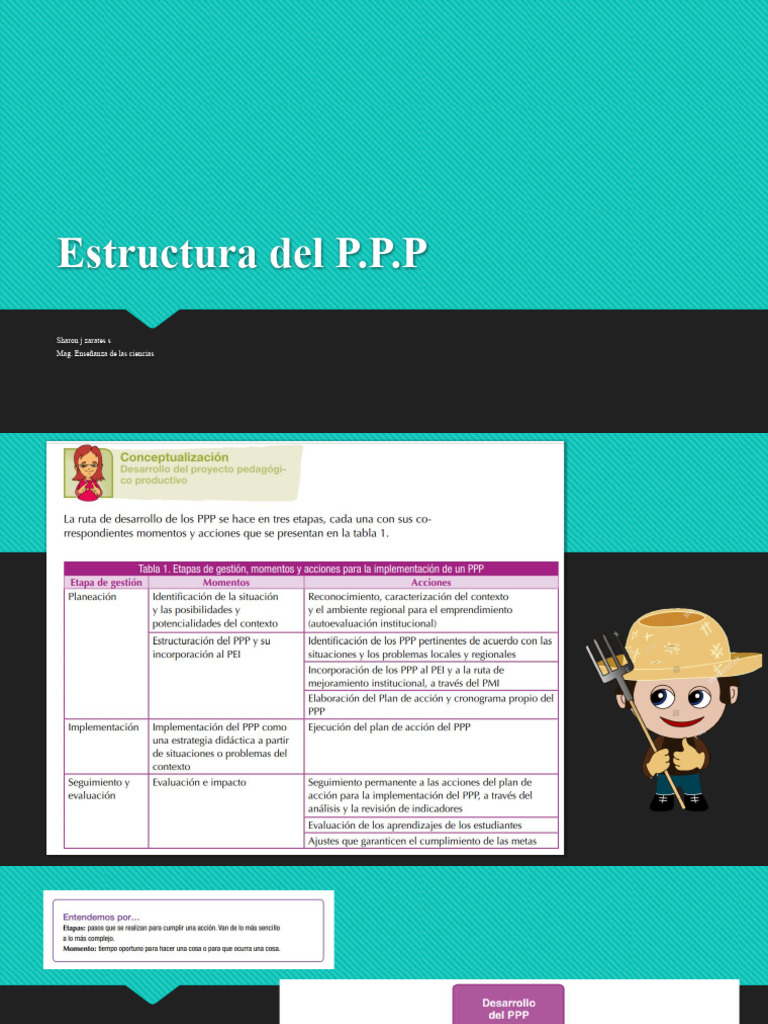 Estructura Del PPP | PDF | Planificación | Economias