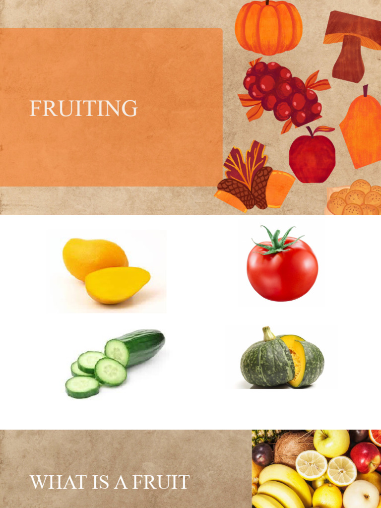 Fruit Development Stages | PDF | Fruit | Plant Morphology