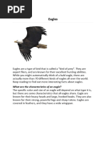 Overview of Eagle Taxonomy and Species | PDF