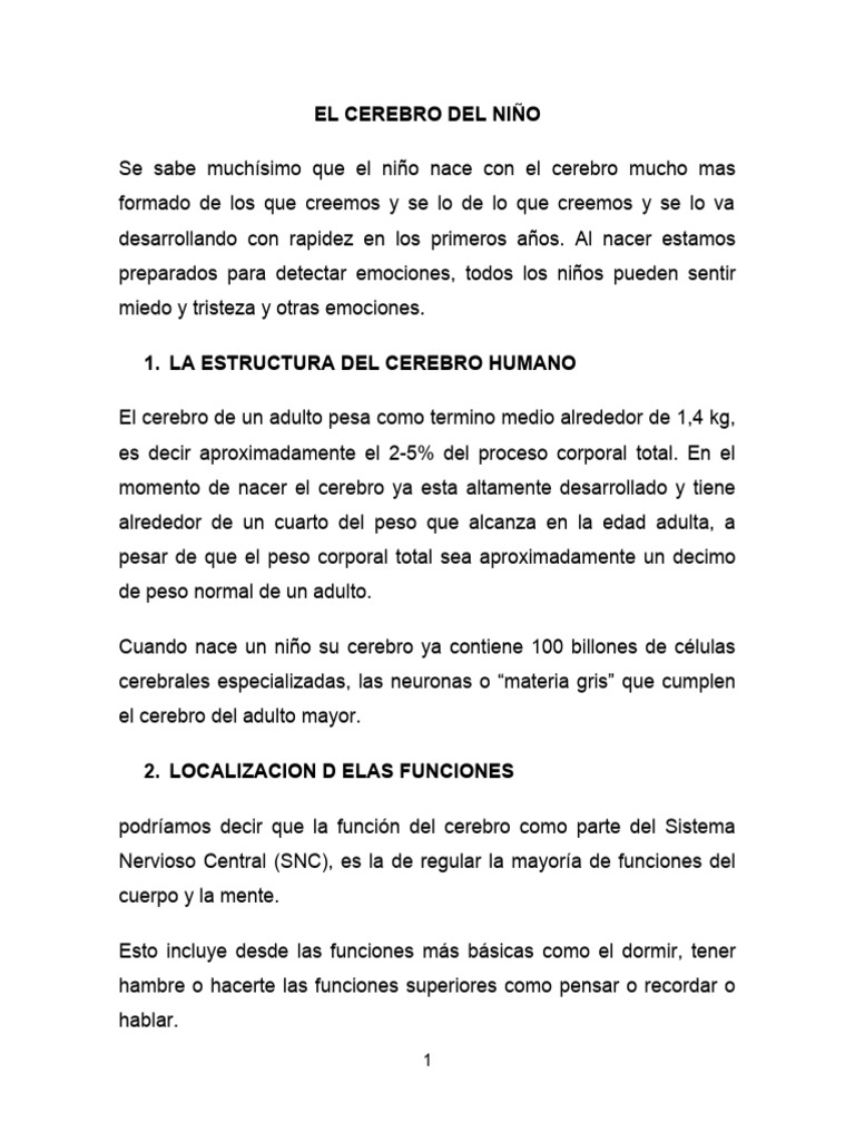 El Cerebro Del Niño | PDF | Cerebro | Neurona