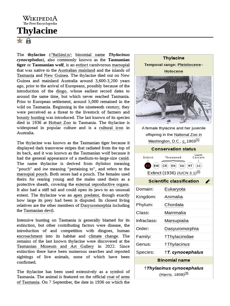 Thylacine | PDF