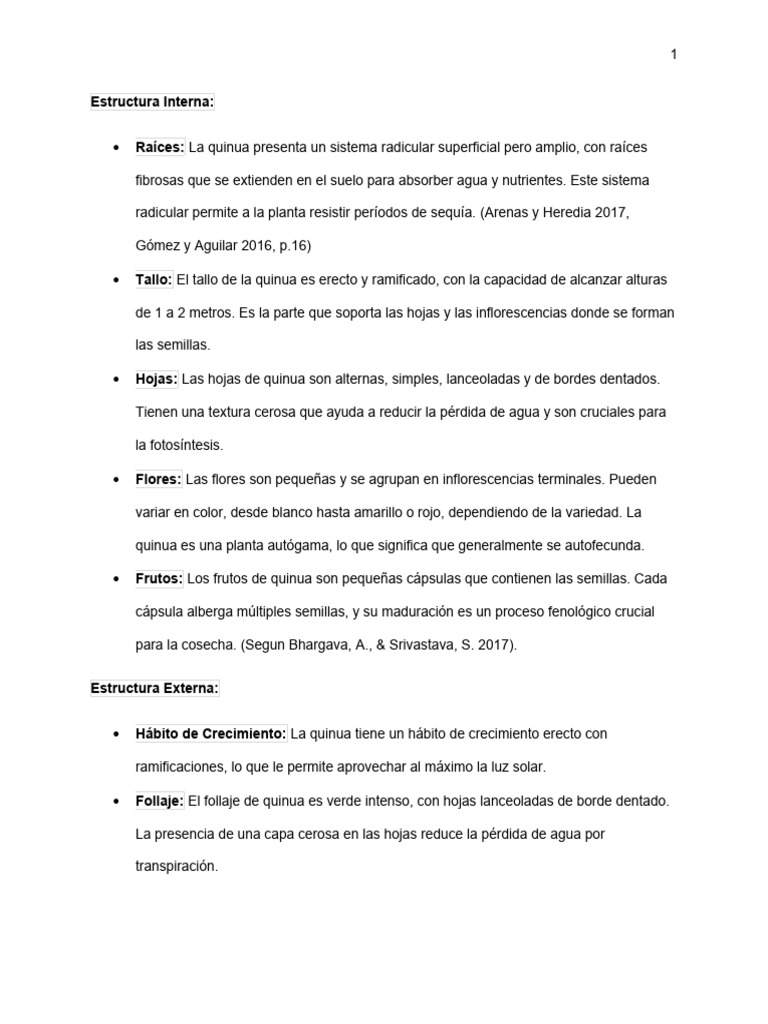 Estructura Interna y Externa | PDF | Hoja | Quinua
