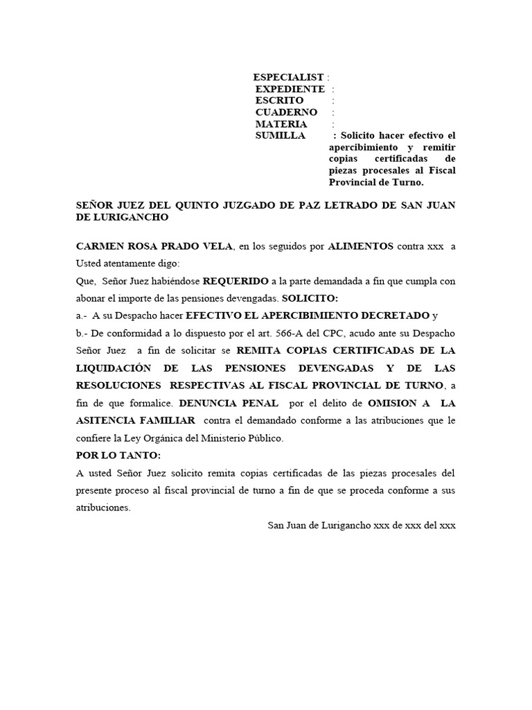 Efectivo y Remitir Copias | PDF
