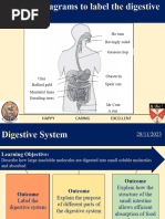 Digestive System Labeling Worksheet | PDF | Wellness | Science ...