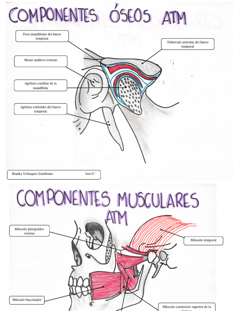 Componentes Del ATM | PDF