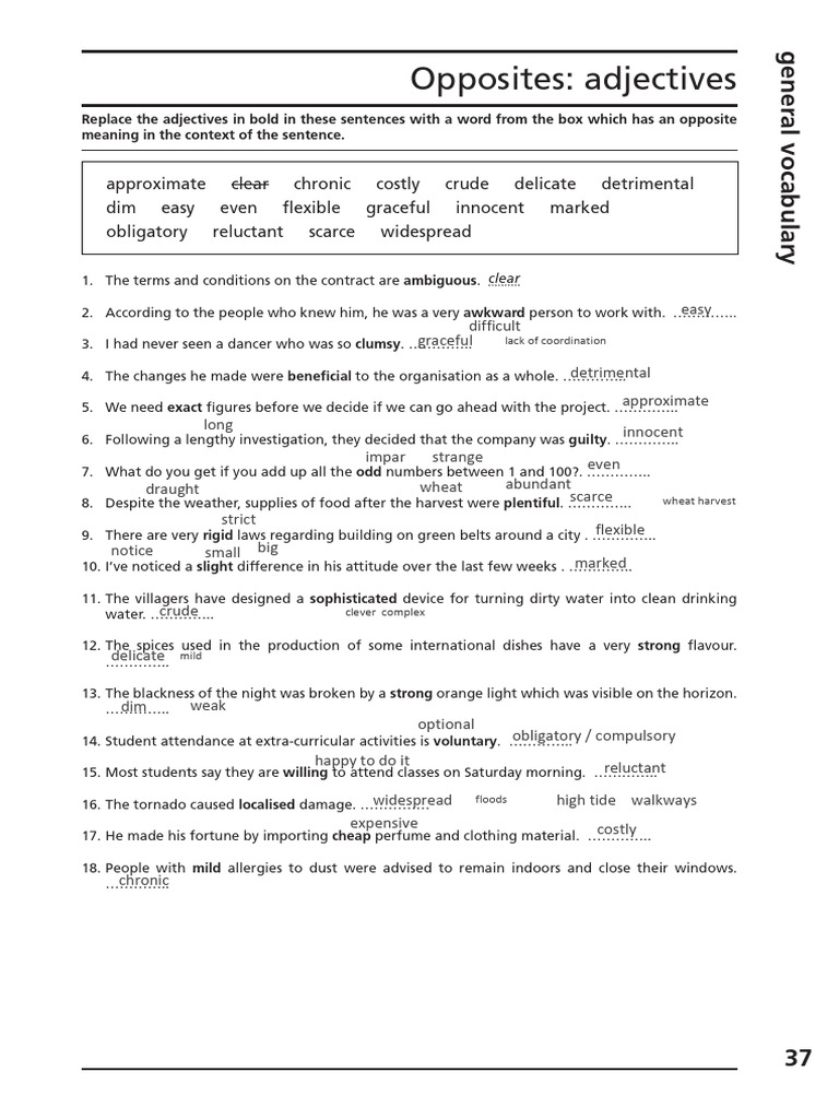 Adjectives and Verbs | PDF