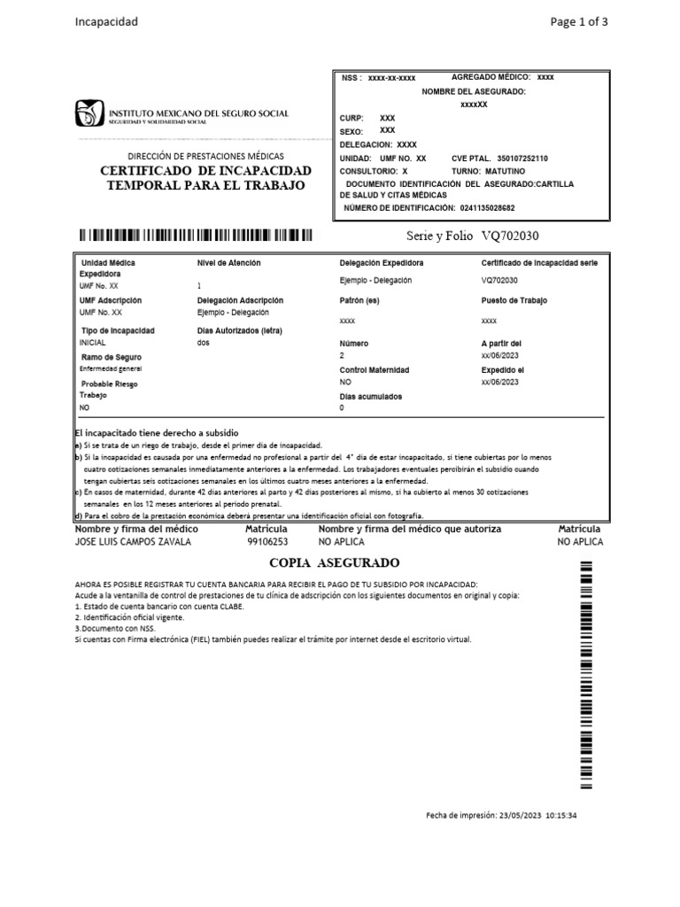 Editable INCAPACIDAD | PDF