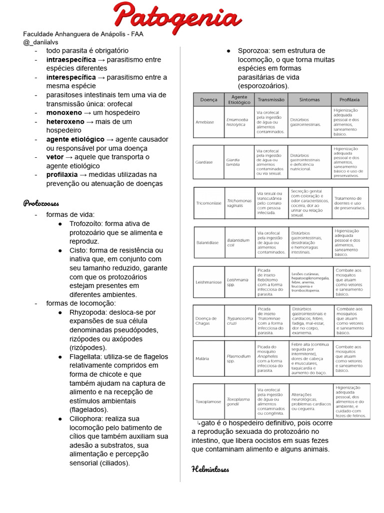 Resumo Microbiologia | Download grátis PDF | Mycobacterium | Mycobacterium tuberculosis