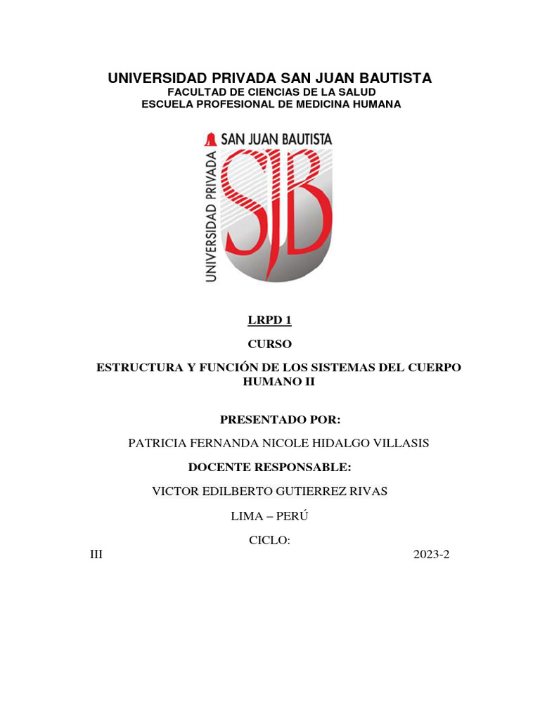 LRPD 1 - Estructur | PDF