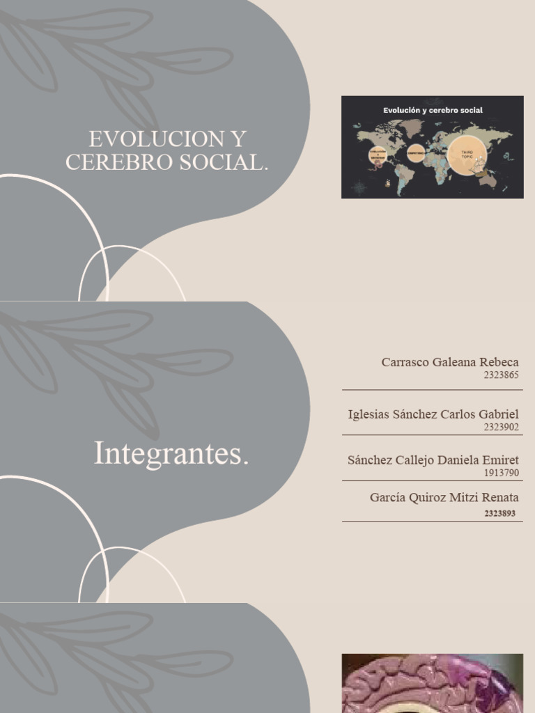 Evolucion Y Cerebro Social Pdf Cerebro Las Emociones