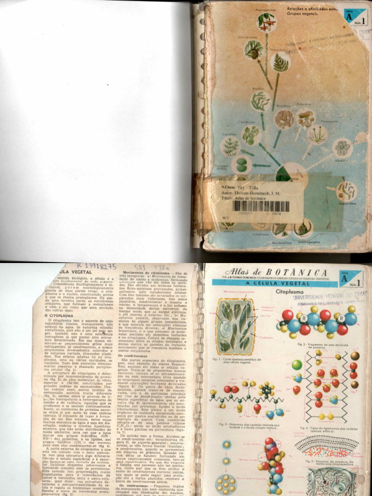 Atlas Botânico - Thomas-Doménech, J. M. | PDF