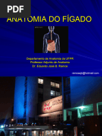 Anatomia da Veia Porta Hepática | PDF | Veia | Órgão (anatomia)