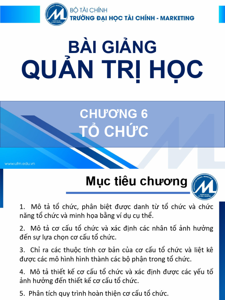 Ufm - Vi - Chương 6 - T CH C | PDF