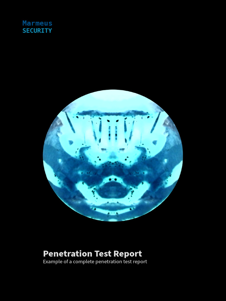 Pentesting Report | PDF | Penetration Test | Data Transmission