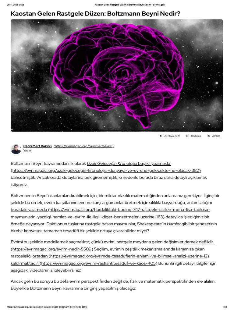Kaostan Gelen Rastgele Düzen - Boltzmann Beyni Nedir - Evrim Ağacı | PDF