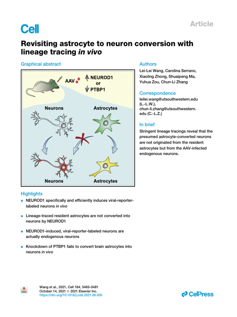 Wang Et Al Cell 2021 | PDF | Astrocyte | Nervous System