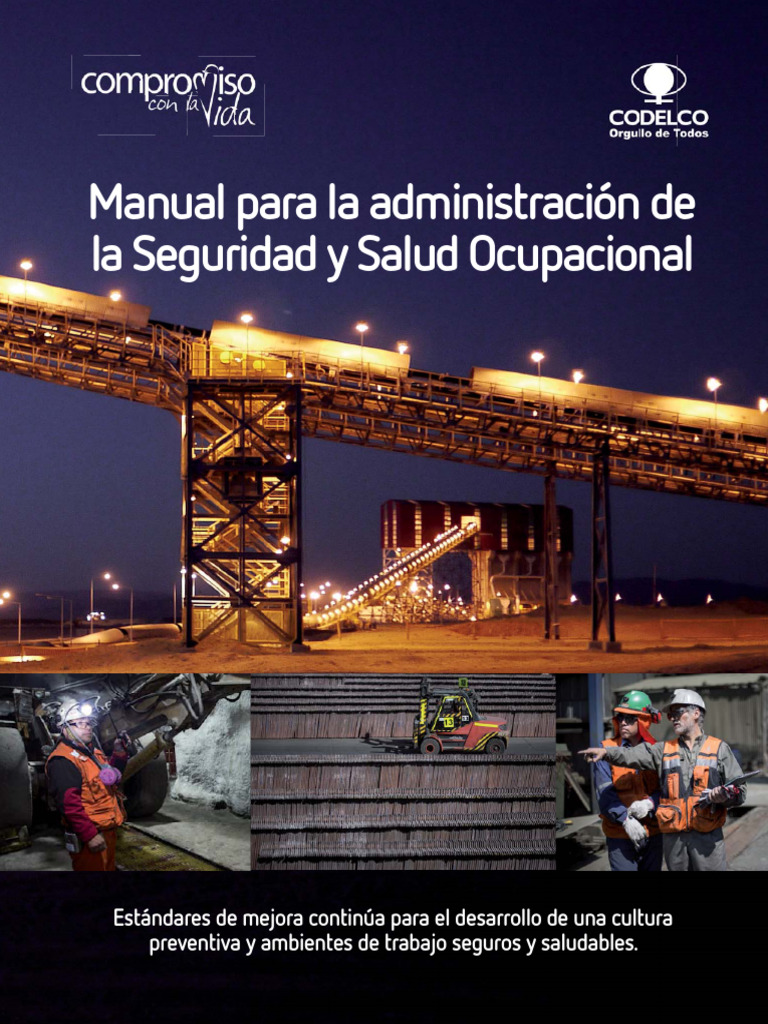 Manuals Gs So | PDF | Seguridad y salud ocupacional | Business
