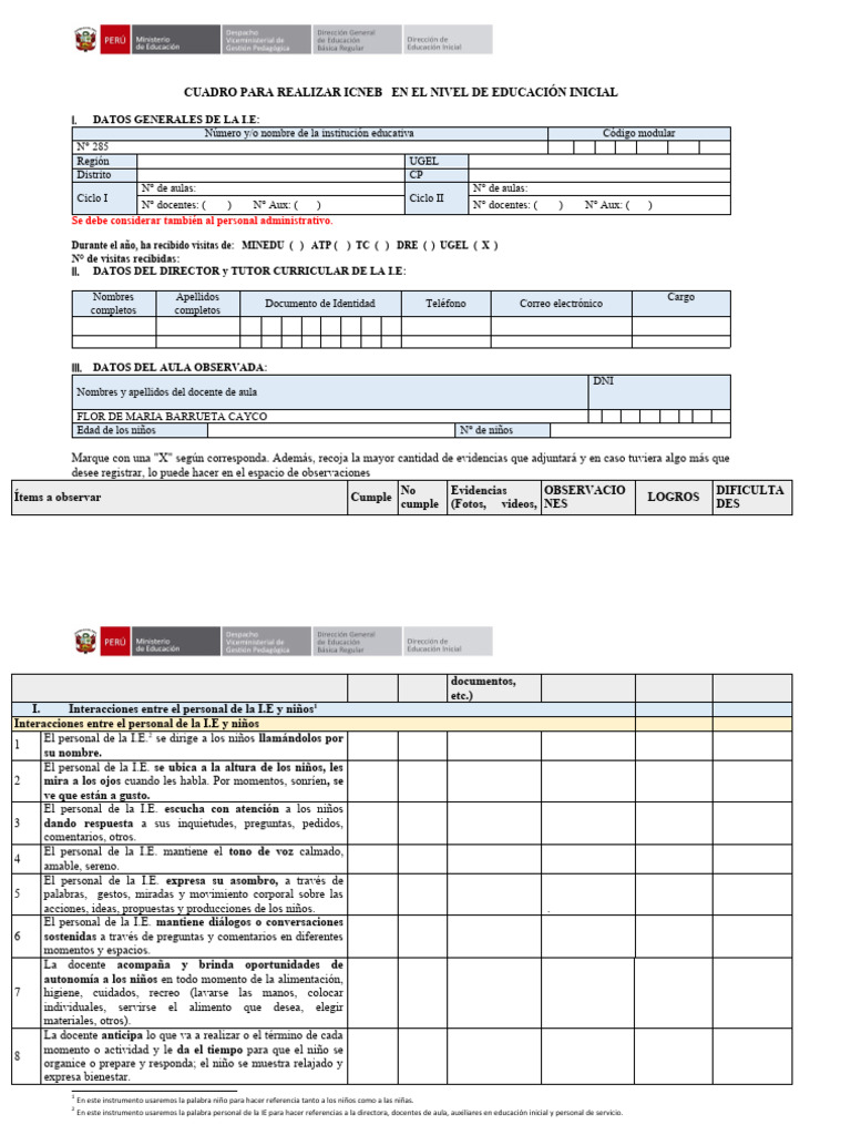 Formato I Cneb | PDF | Educación de la primera infancia