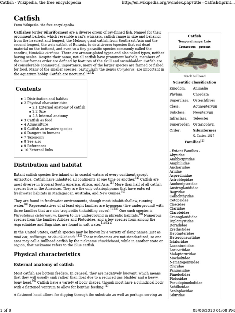 Catfish | PDF | Fish | Fishkeeping