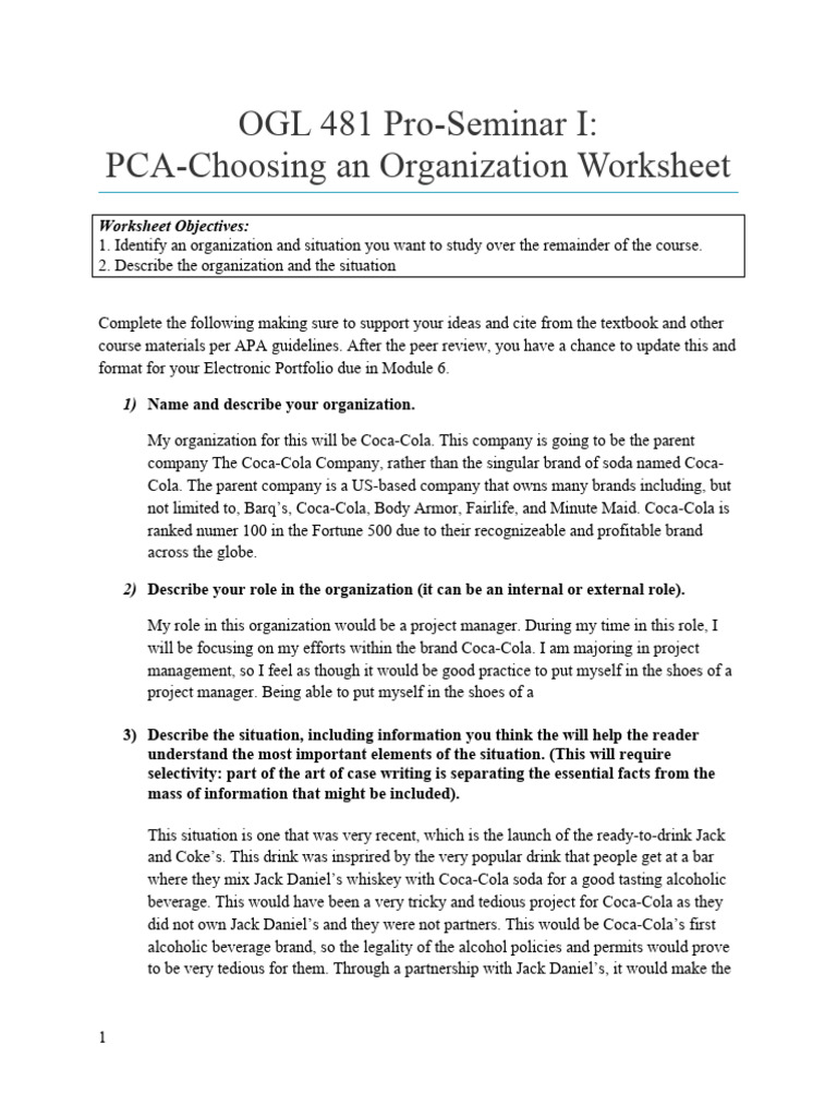 1 Choosing An Org Worksheet | PDF | The Coca Cola Company | Coca Cola