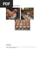 Penyakit Ayam Petelur | PDF