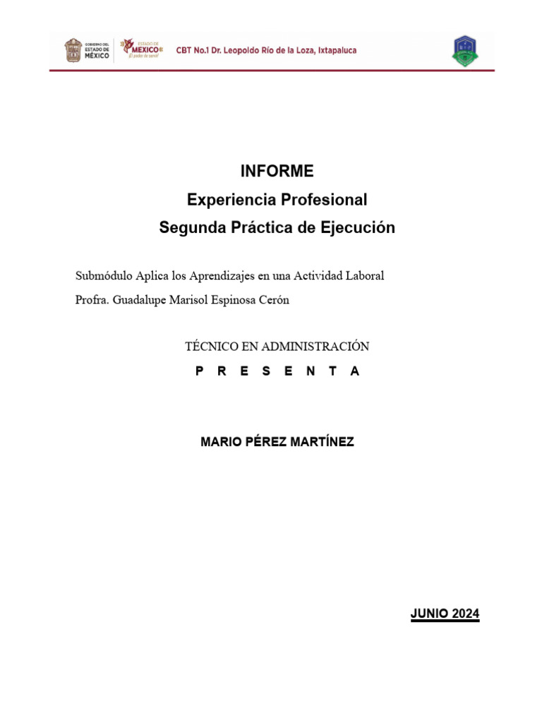 Ejemplo Informe 1a Parte | PDF | Business | Desarrollo profesional