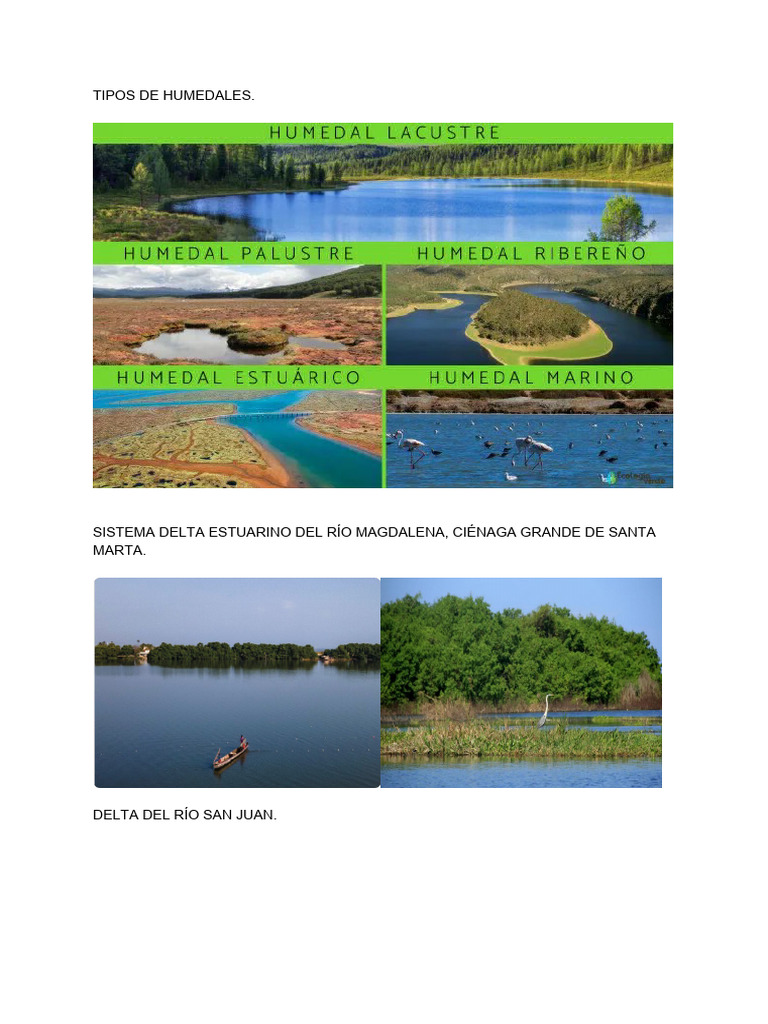 Imagenes Sitios Ramsar en Colombia y Tipos de Humedales. | PDF