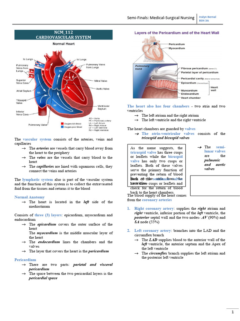 Cardiac System Overview and Assessment | PDF | Heart | Heart Valve