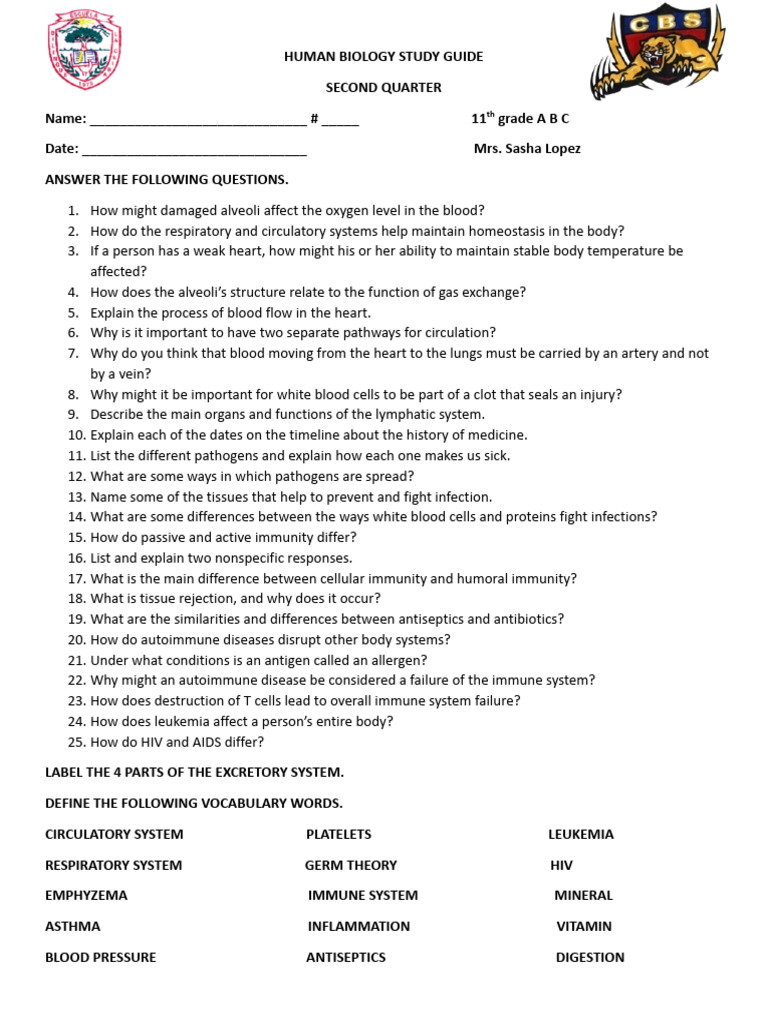 HUMAN BIOLOGY 2nd Quarter Study Guide | PDF | Immune System | Blood