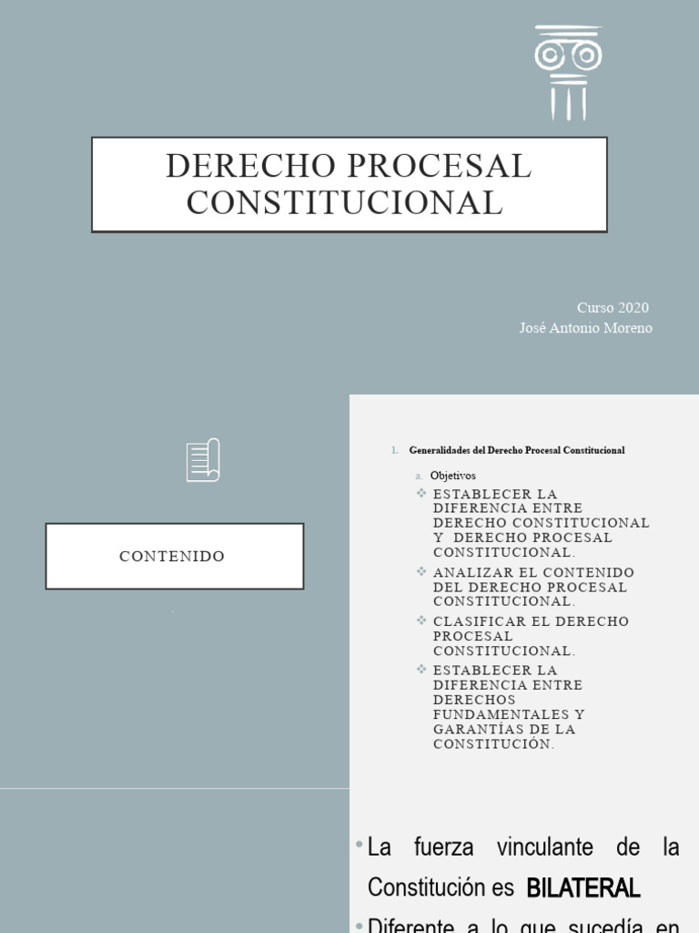 Derecho Procesal Constitucional) | PDF | Constitución | Ley procesal