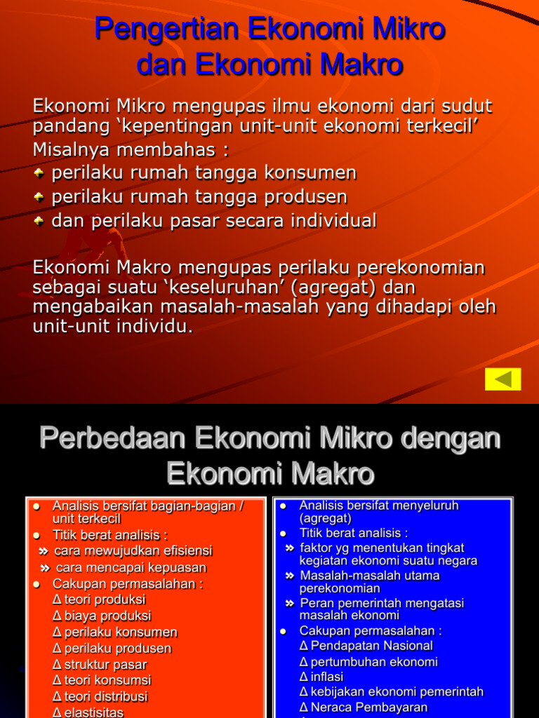 Mikro Dan Makro | PDF