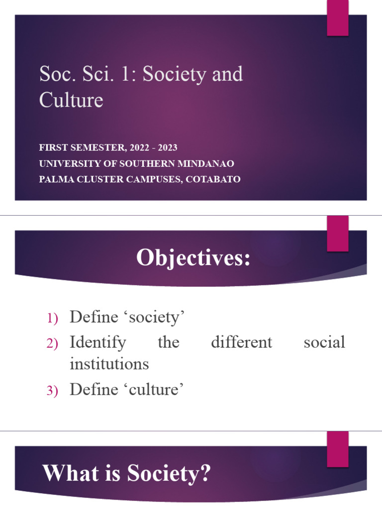 1 Soc Sci 1 Introduction | PDF | Society | Institution