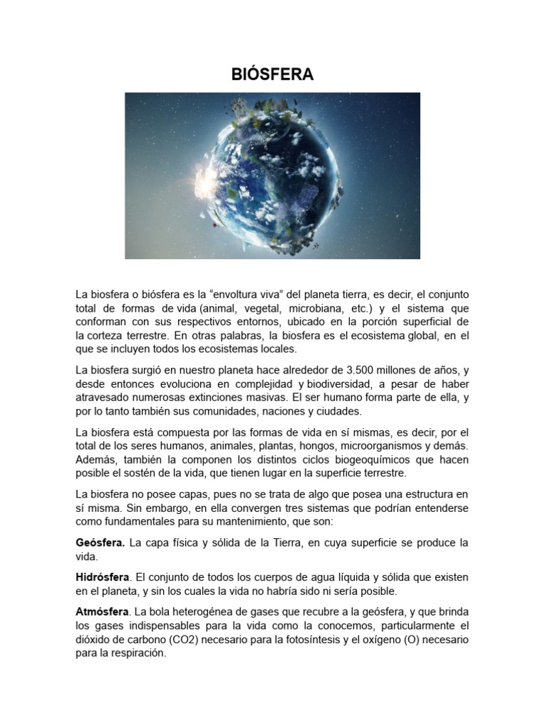 2.3 Biosfera | PDF | Tierra | Biodiversidad