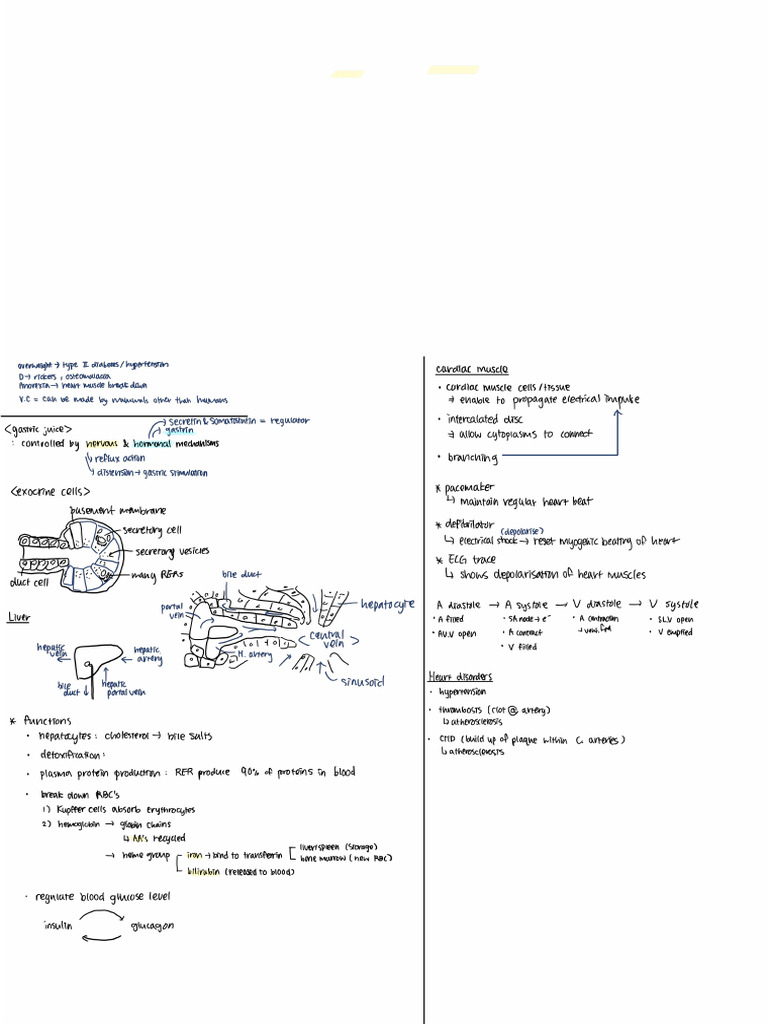 Biology Option D Revision | PDF