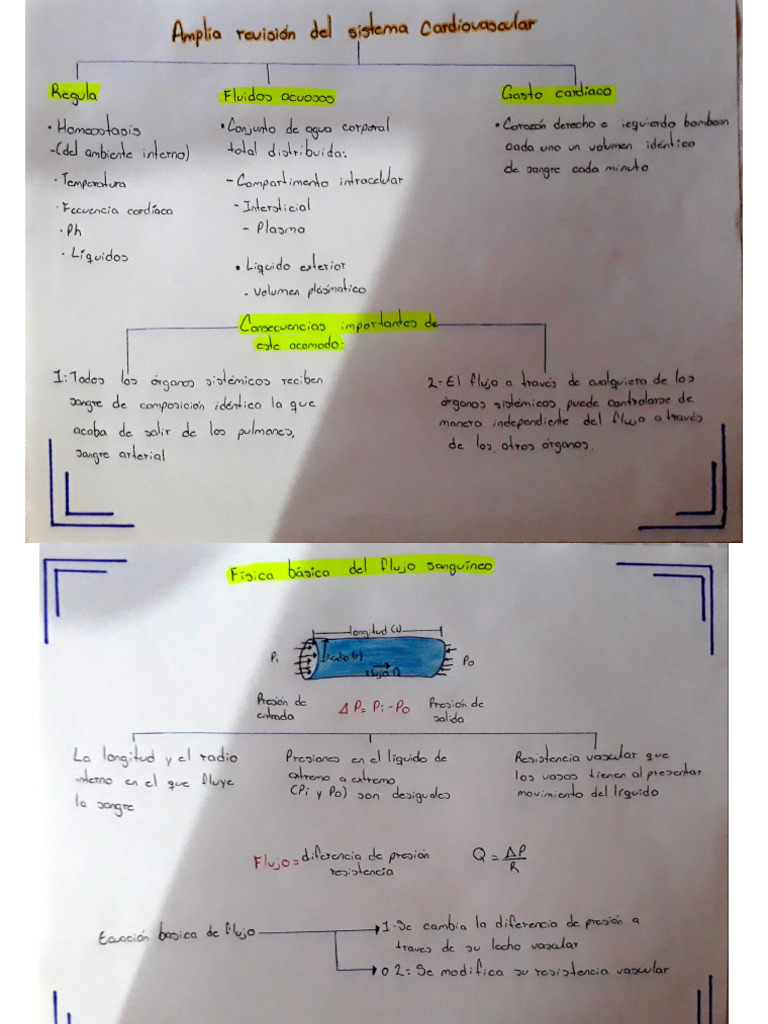 BCH Actividad 26 203 LGC | PDF