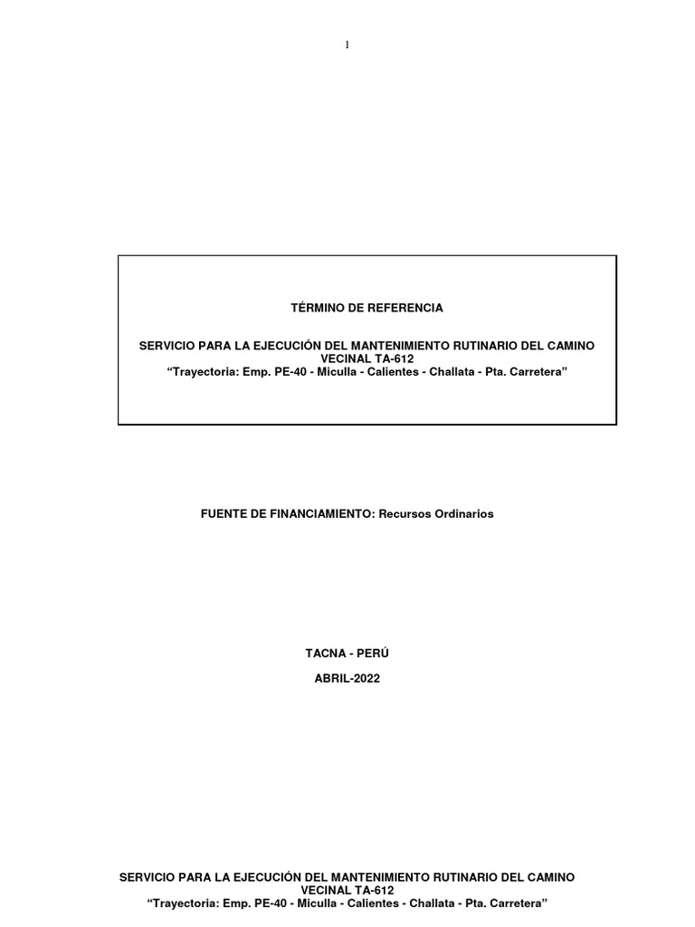 Informe Ejemplo TDR | PDF | Ensayo clínico | Ministerio (Departamento de Gobierno)