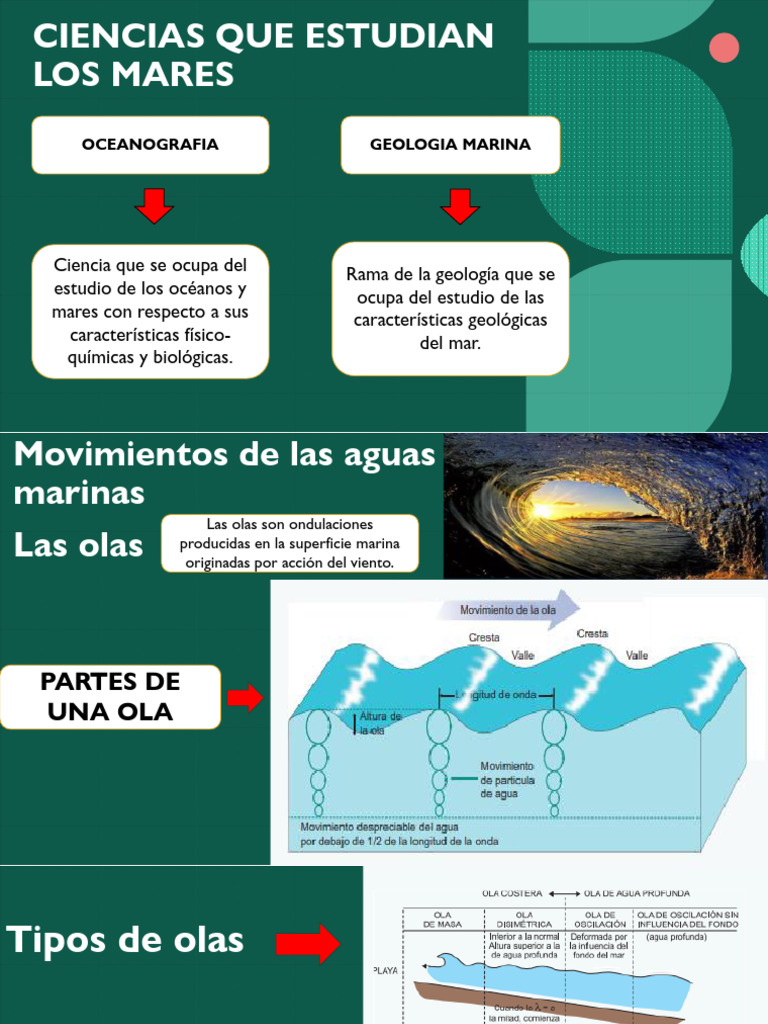 Accion Geologica Marina | PDF Accion Geologica Marina | PDF