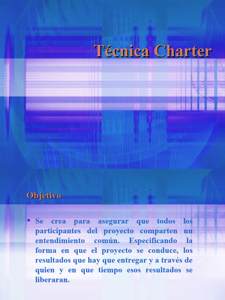 Tecnica Charter | PDF | Business