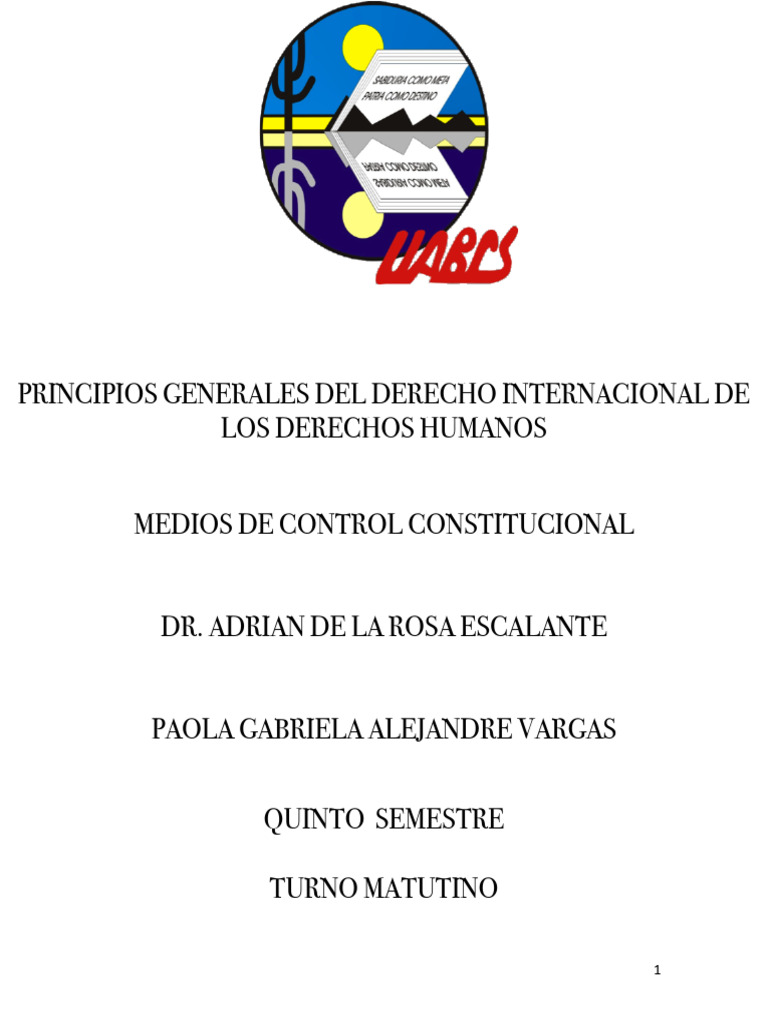 Principios Generales Del Derecho Internacional De Los Derechos Humanos
