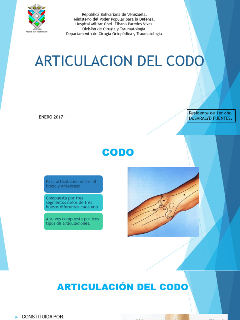 Anatomia Articulacion Del Codo Dra Fuentes Pdf Codo Articulación