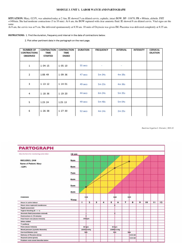 MCN - Labor Watch Partograph Exercise | PDF
