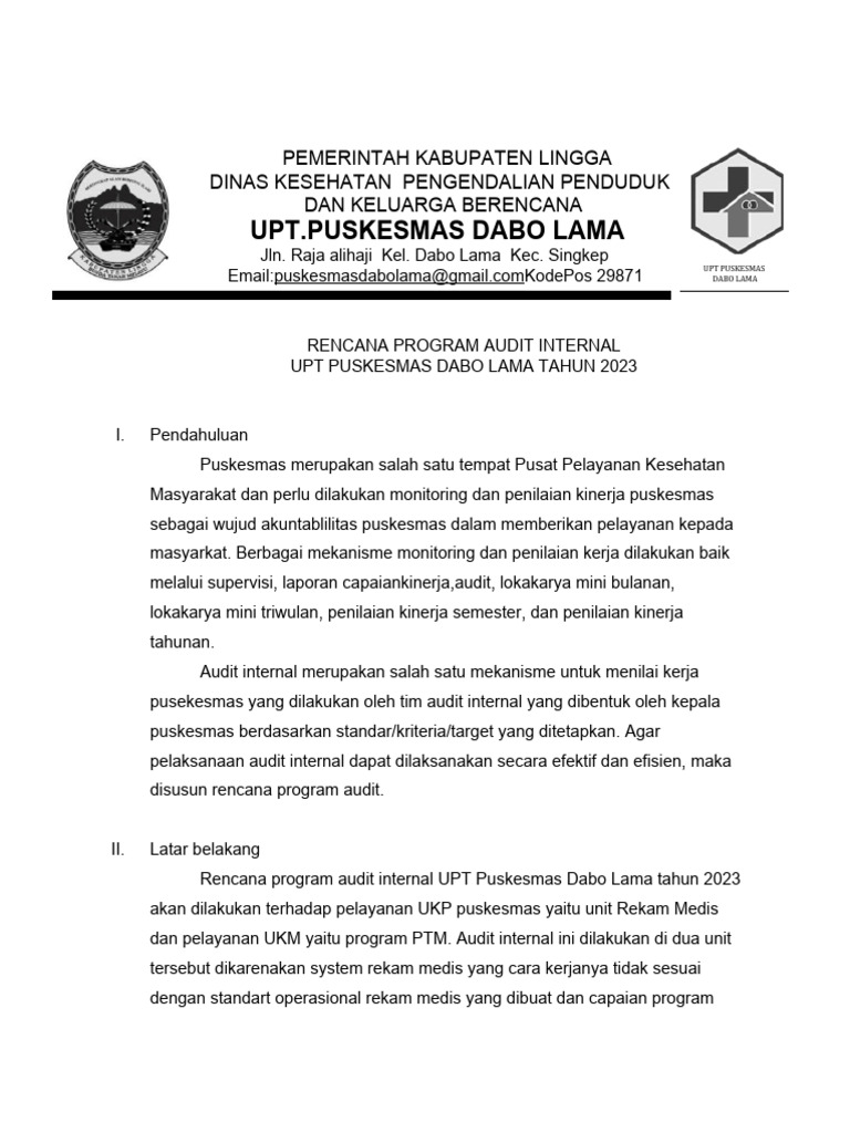 Rencana Program Audit Internal | PDF